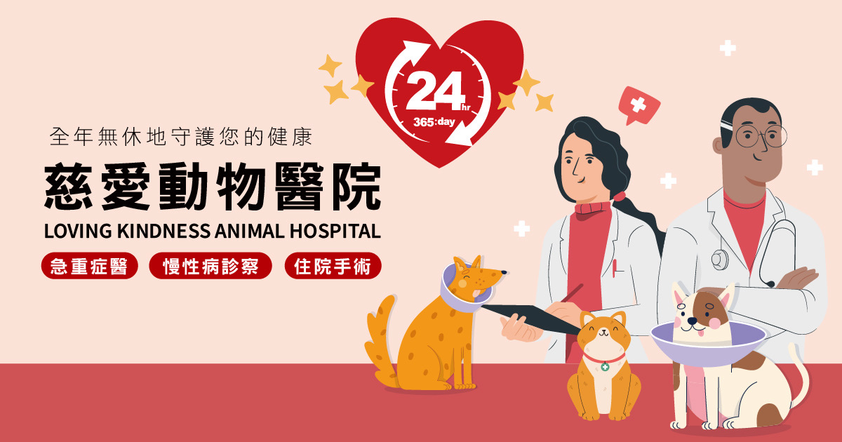 慈愛動物醫院 | 最新消息